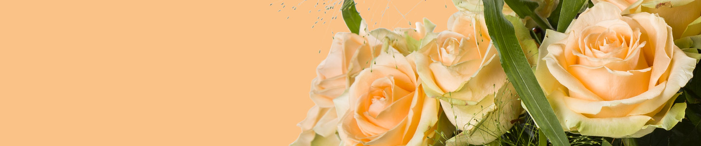 Order Salmon Roses Bouquets online - Premium Roses | Surprose.com