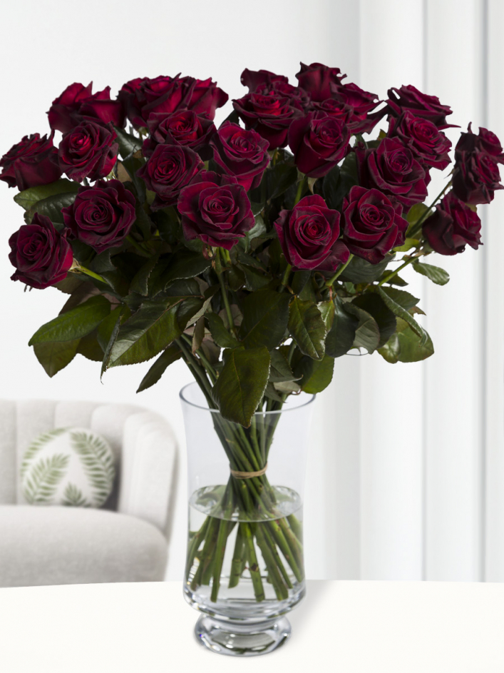 Dark roses store