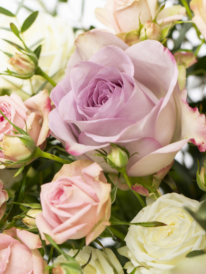 Rose In Pastel By Pastel Bliss Flower Delivery New York NY Gramercy