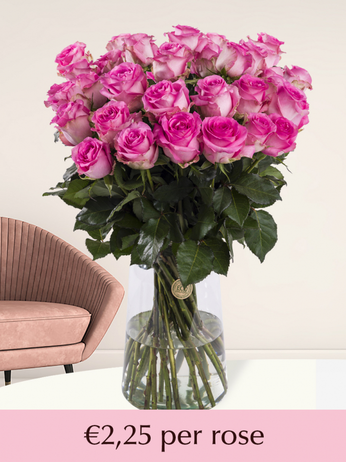Pink roses from 10 to 99 | Choose your number with SURPROSE