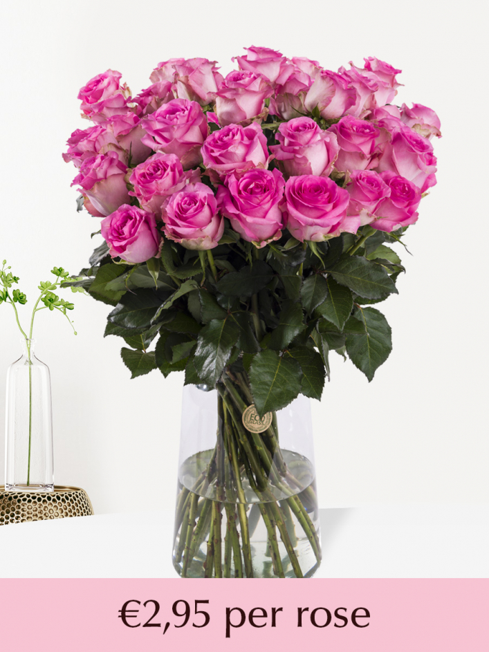 Pink roses from 10 to 99 | Choose your number with SURPROSE