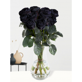10 black roses ordered online | Fresh roses | SURPROSE.com