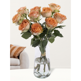 10 salmon coloured roses from Ecuador | SURPROSE.COM