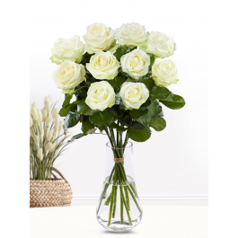 10 white roses | Fresh from the grower | SURPROSE.COM
