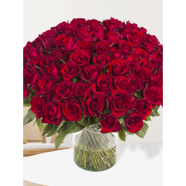 100 red roses - EverRed | SURPROSE.COM
