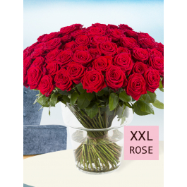 100 red roses - Red Naomi