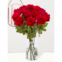 One dozen red roses - 12 premium red roses | SURPROSE.COM