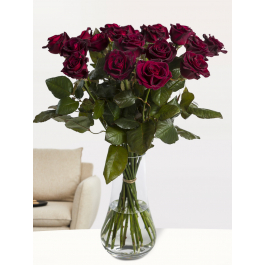 20 deep red roses - Black Baccara | SURPROSE