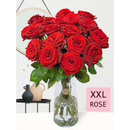 20 red roses - Red Bentley | Premium roses | SURPROSE.com