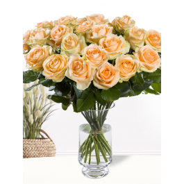 20 salmon-coloured roses | Surprose.com