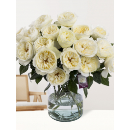 20 white roses - David Austin | SURPROSE.COM