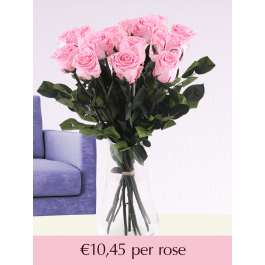 21 till 50 pink long life roses | SURPROSE
