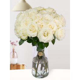 25 white roses - Snowstorm | Order fresh roses | SURPROSE