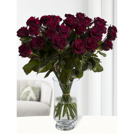 30 deep red - Black Baccara | Surprose.com