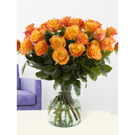 30 orange Confidential roses