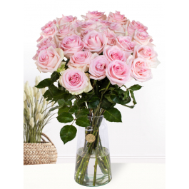 30 soft pink roses - Sweet Revival | Surprose.com