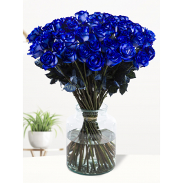 50 blue roses | Surprose.com