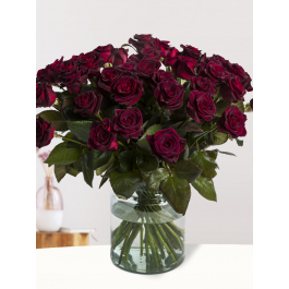 50 deep red roses - Black Baccara | Surprose.com