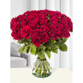 50 red roses - EverRed | SURPROSE.COM