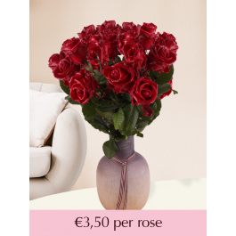 Burgundy red wax roses - Choose your number| Surprose.com