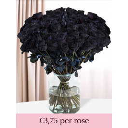 100 till 500 black roses | Fresh black roses | SURPROSE.COM
