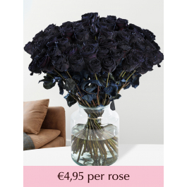 50 till 99 black roses | Order online fresh black roses | Surprose