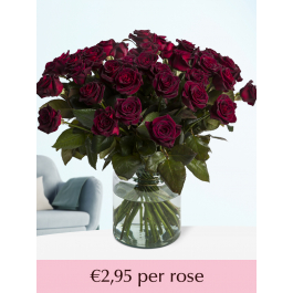 Deep red roses - Choose your number of roses | Surprose.com