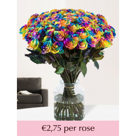 100 till 500 rainbow roses | SURPROSE.COM