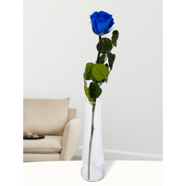 Single blue long life rose including vase | SURPROSE