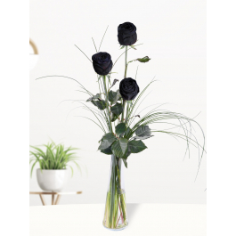 Three black roses with glass vase | Black roses | SURPROSE