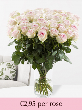 Rose variety: Sweet Revival | SURPROSE