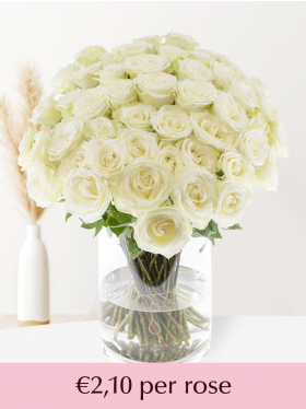 Blog: Meaning of rose colours