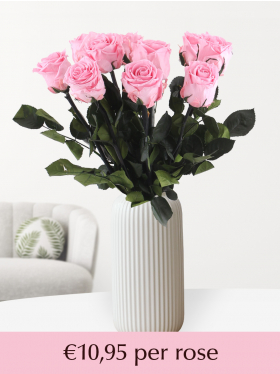 Long lasting roses | SURPROSE.com