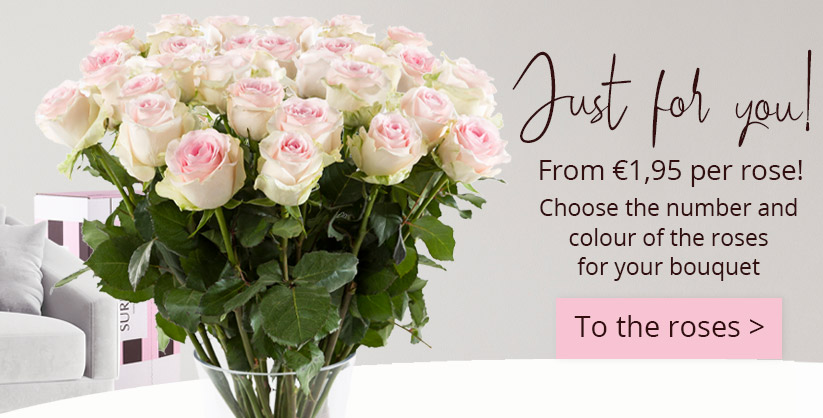 Surprose.com: Order roses online | Delivery in NL, DE and BE